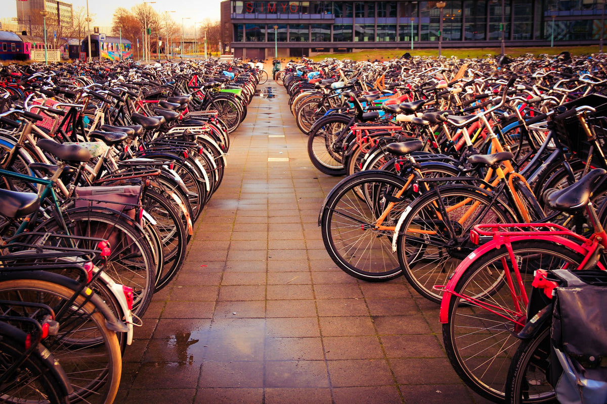 Which Dutch Style Bike are there? – Go Dutch Bikes