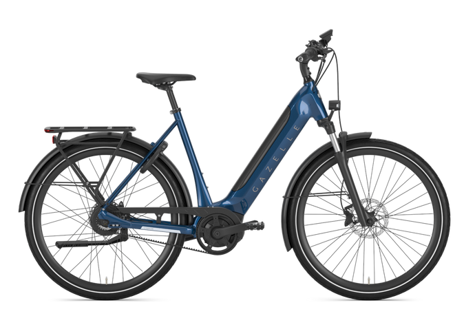 ELECTRIC – Go Dutch Bikes
